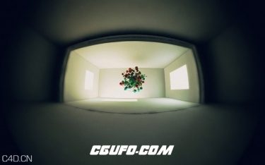 C4D鱼眼镜头摄像机预设 Fisheye Camera For Cinema 4D - CGUFO