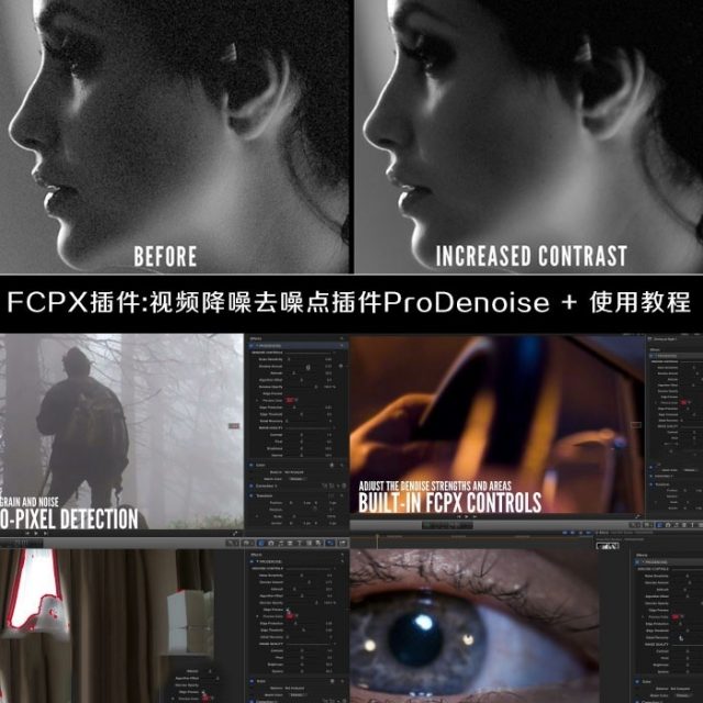 年费VIP专享FCPX插件:专业视频降噪去噪点插件ProDenoise+使用教程 - CGUFO
