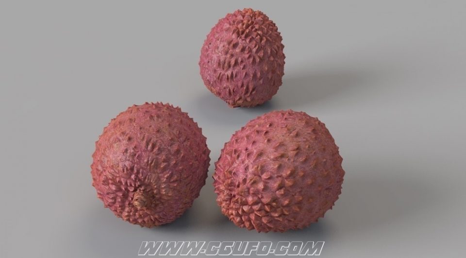 荔枝C4D模型 lychee 3d model - CGUFO