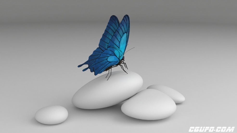 蝴蝶飞舞C4D动画模型 butterfly - CGUFO