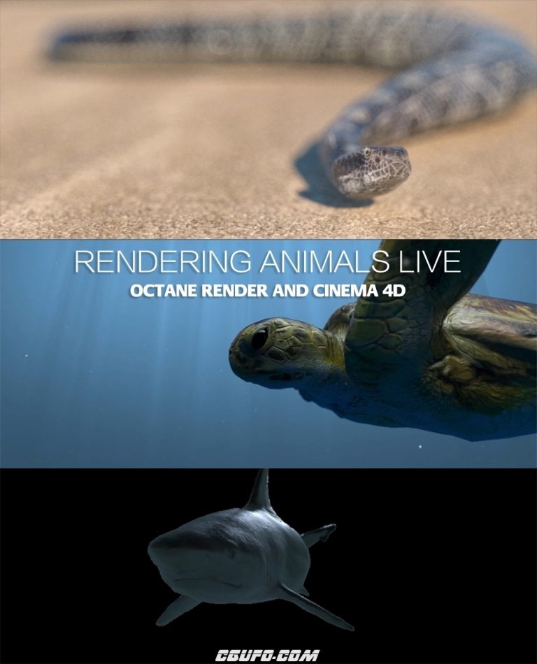 C4D Octane Render鲨鱼蛇海龟渲染案例教程 Rendering Animals Live - Octane Render and ...