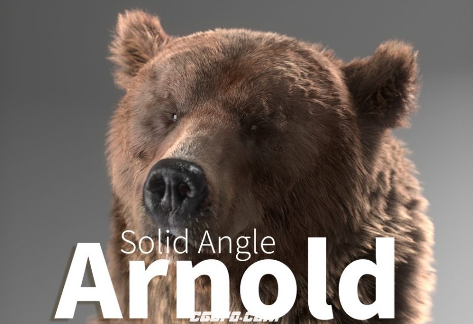 C4D阿诺德渲染器插件Solid Angle Arnold for Cinema 4D v2.6.1.5 Win/Mac - CGUFO